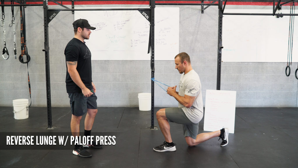 Wild Skills | Increase Your Draw Strength - Wilderness Athlete Journal