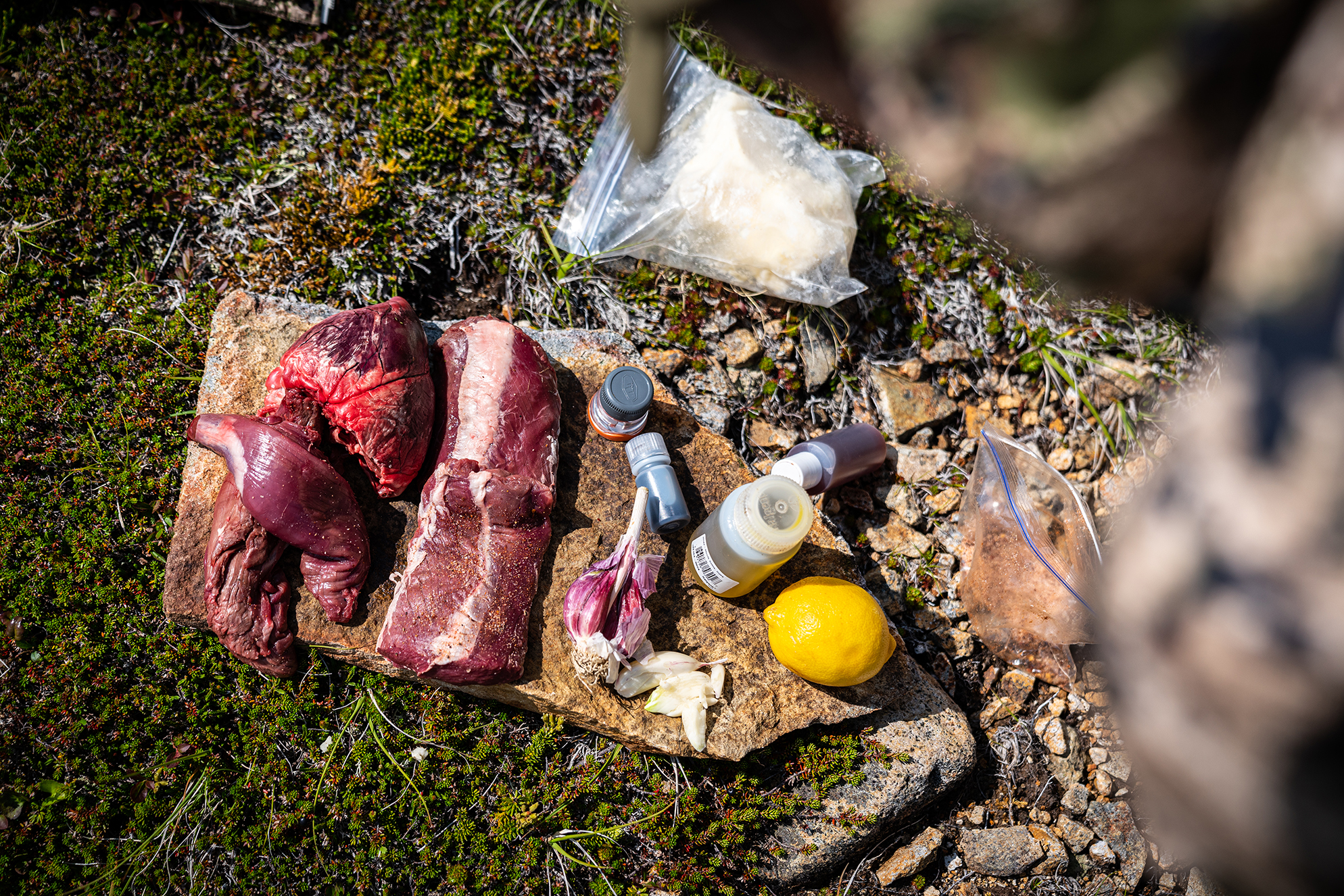 Haida Gwaii Blacktail Hunt - Wilderness Athlete Journal