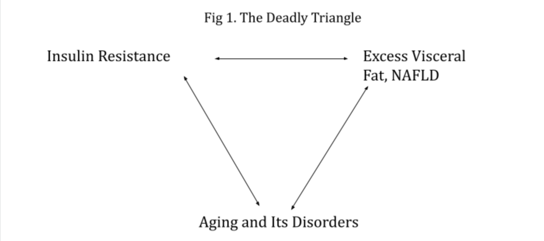 The Deadly Triangle - Wilderness Athlete Journal - Nutrition
